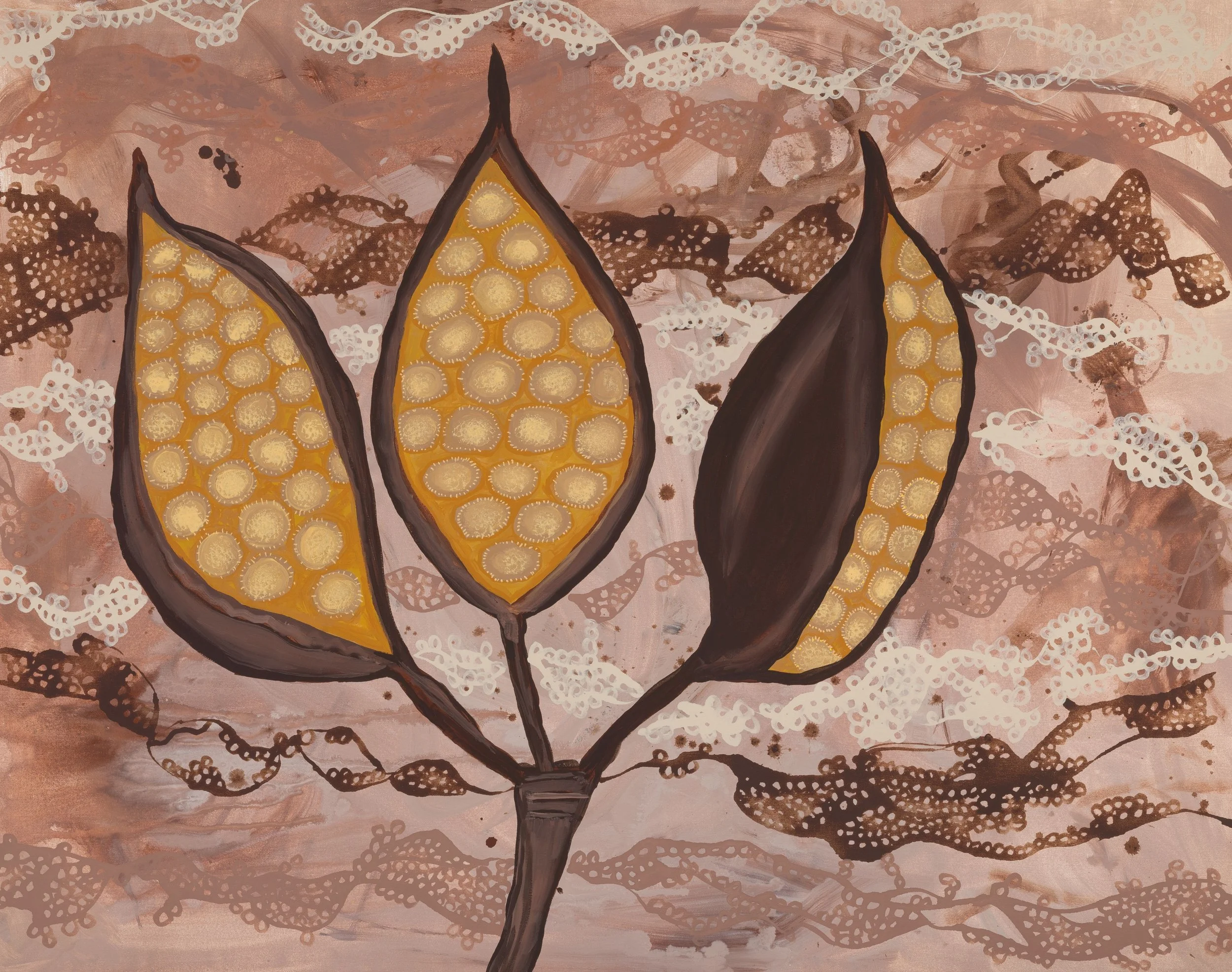 Kurrajong — Emma Stenhouse Art