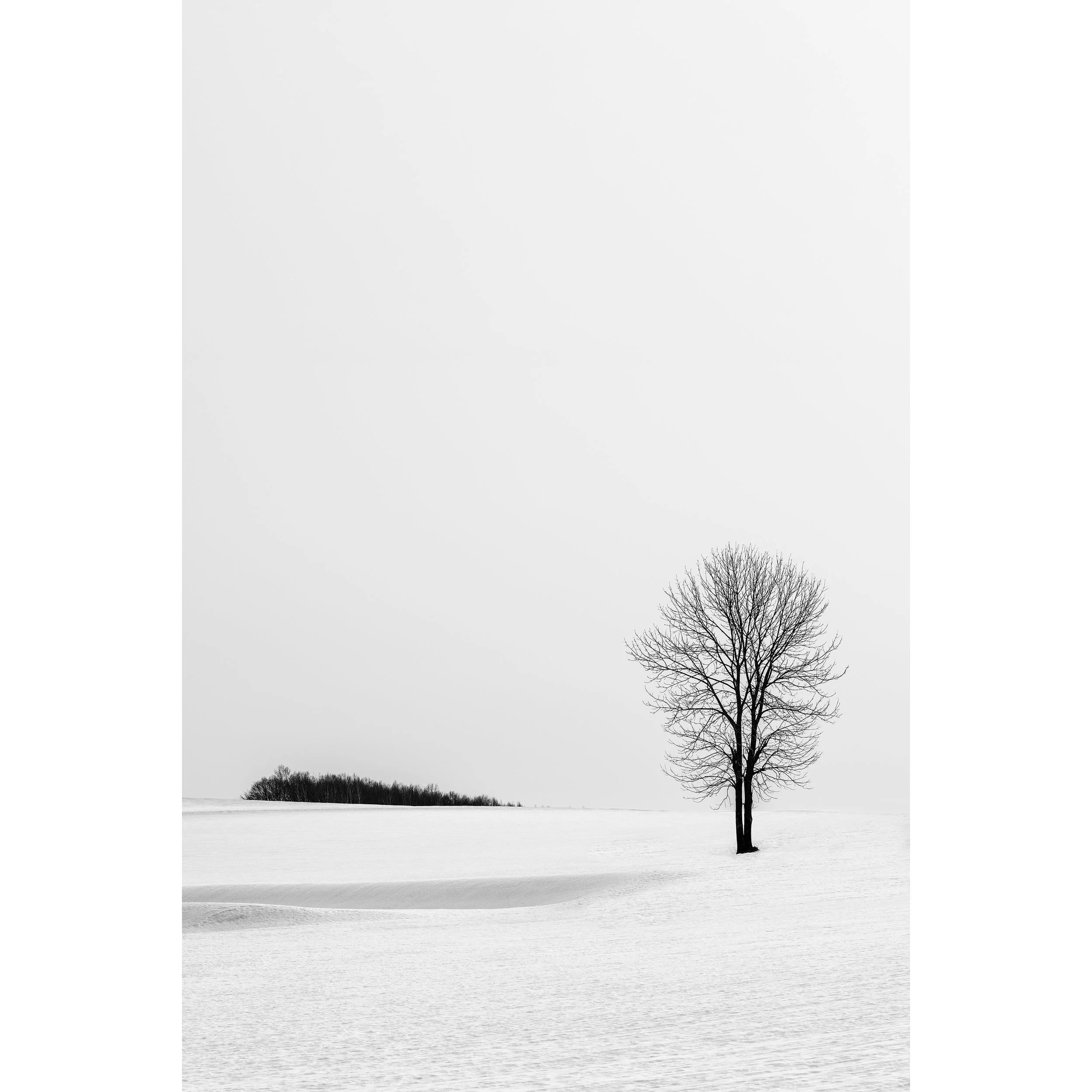 Prints — Olivier Desmet