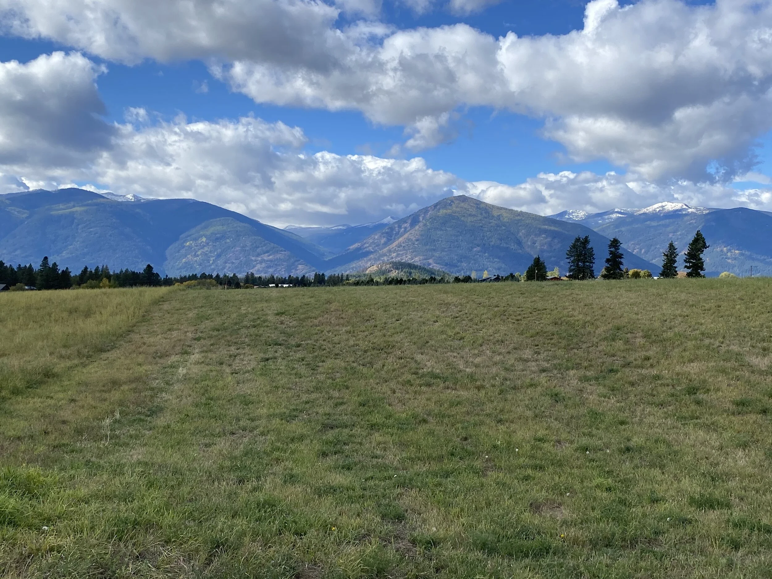 Contact — Hymas Family Farm