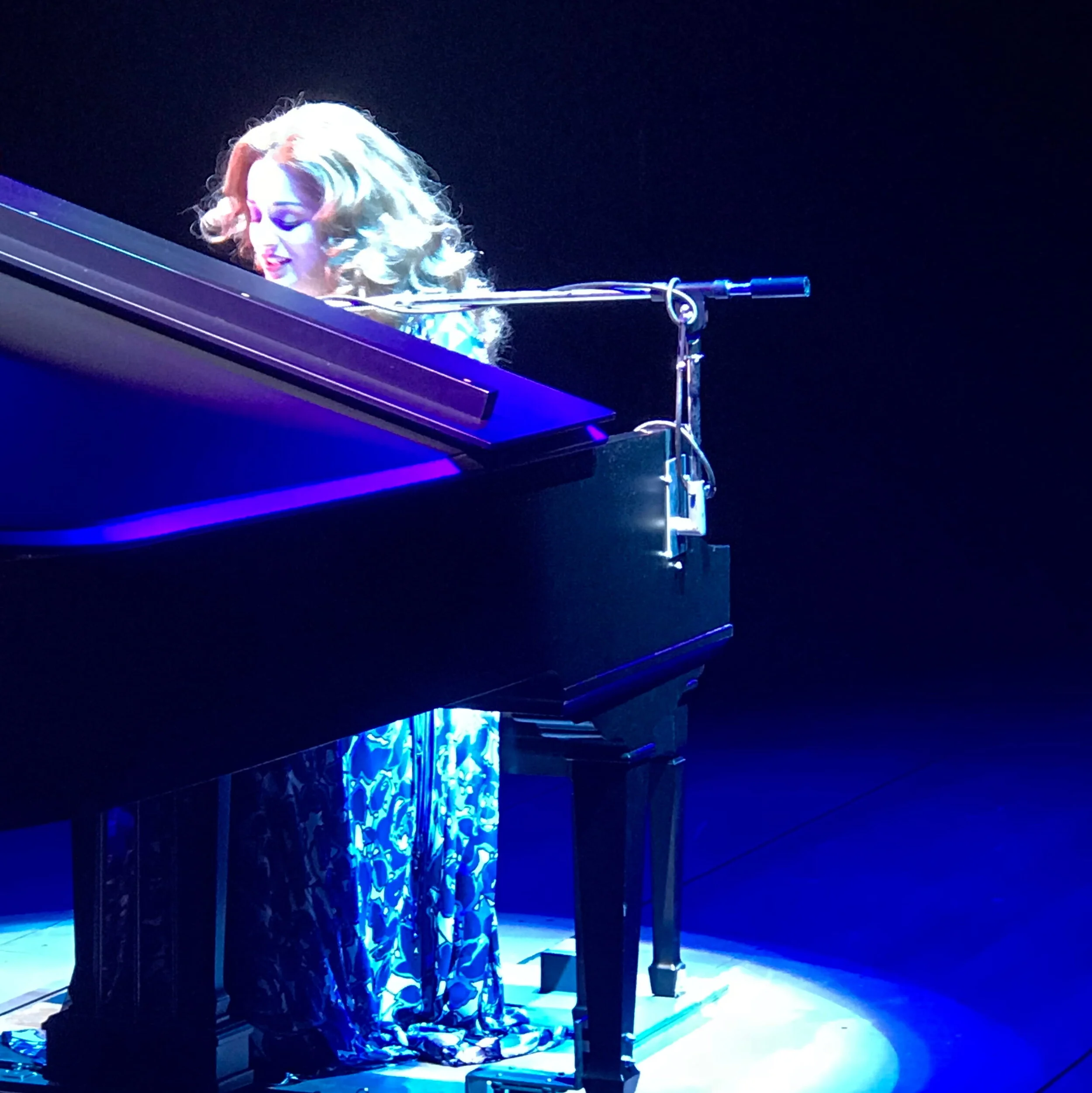 About — Kaylee Harwood