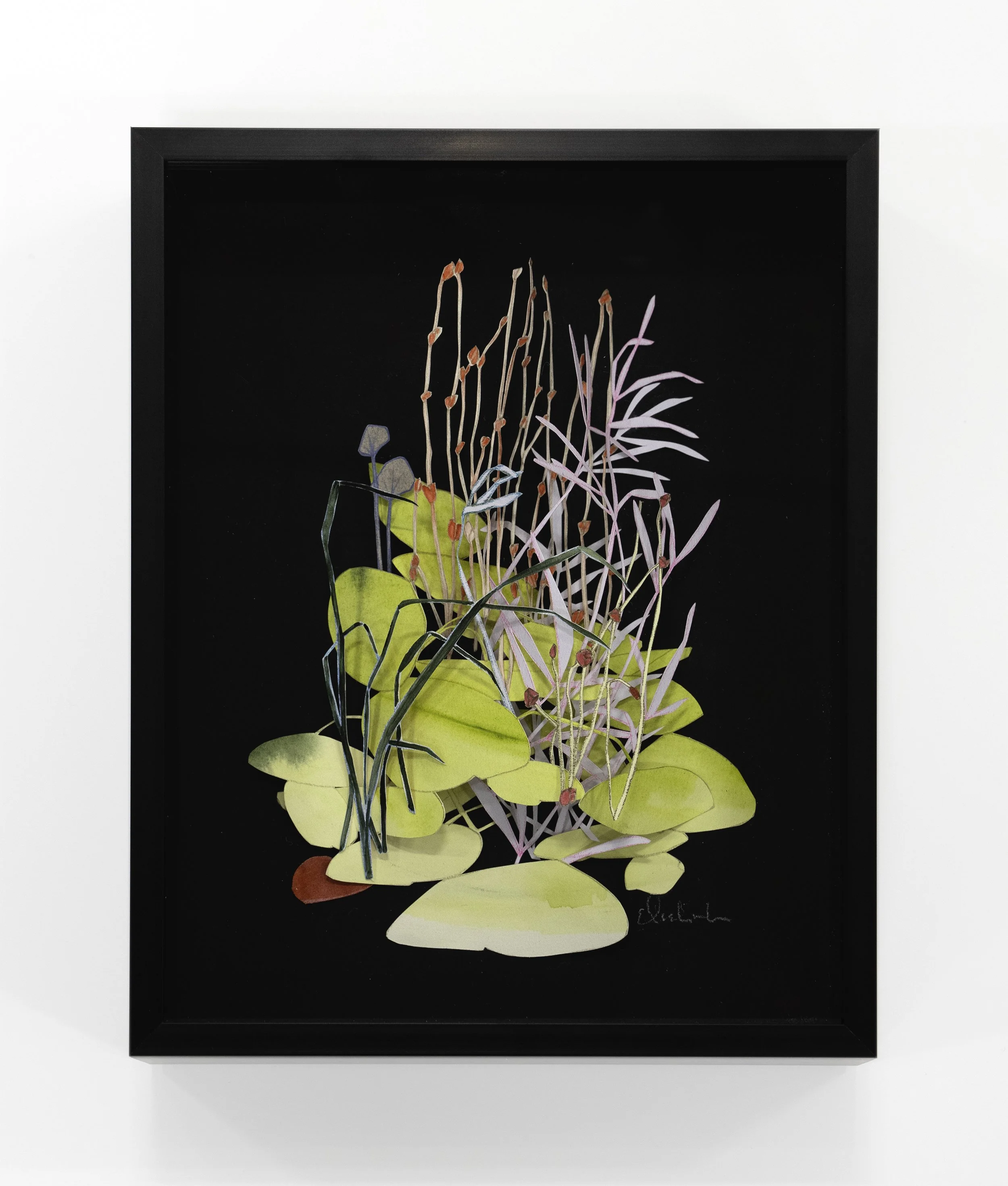 Garden Party (Spring 2024) — DRYDEN GALLERY