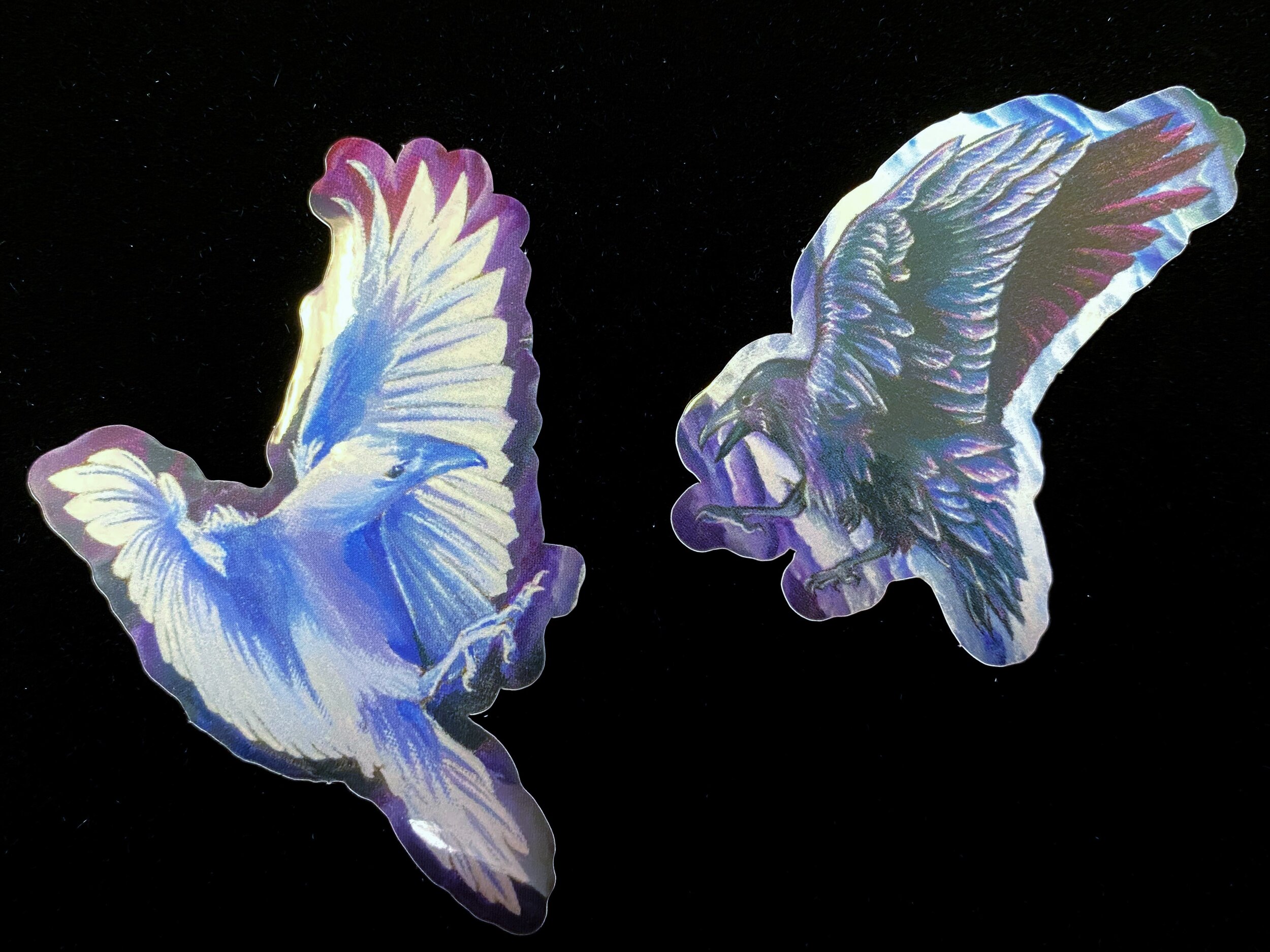 Shop — Banshee Arts