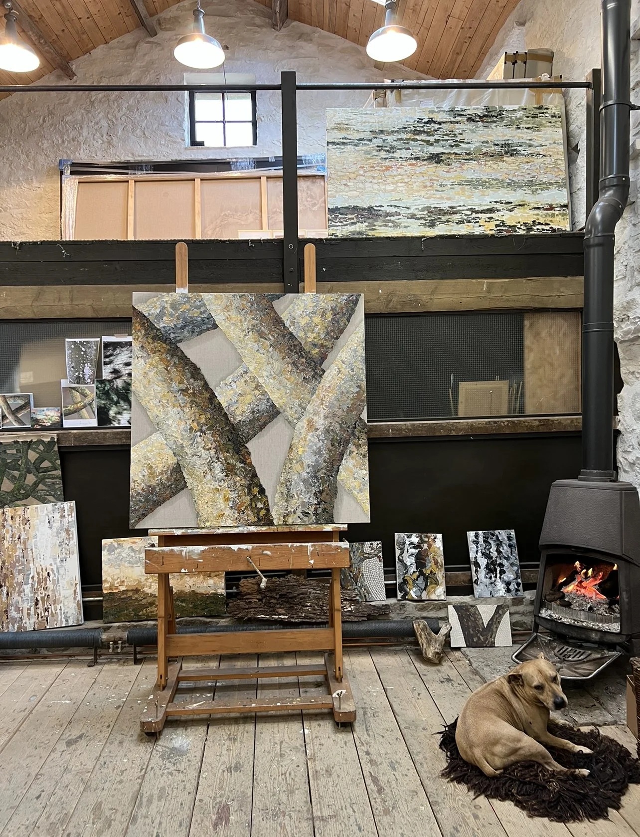 Profile — Graeme Black