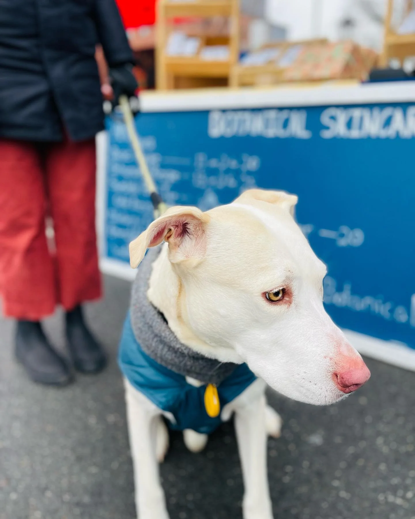 Beacon Farmers Market
