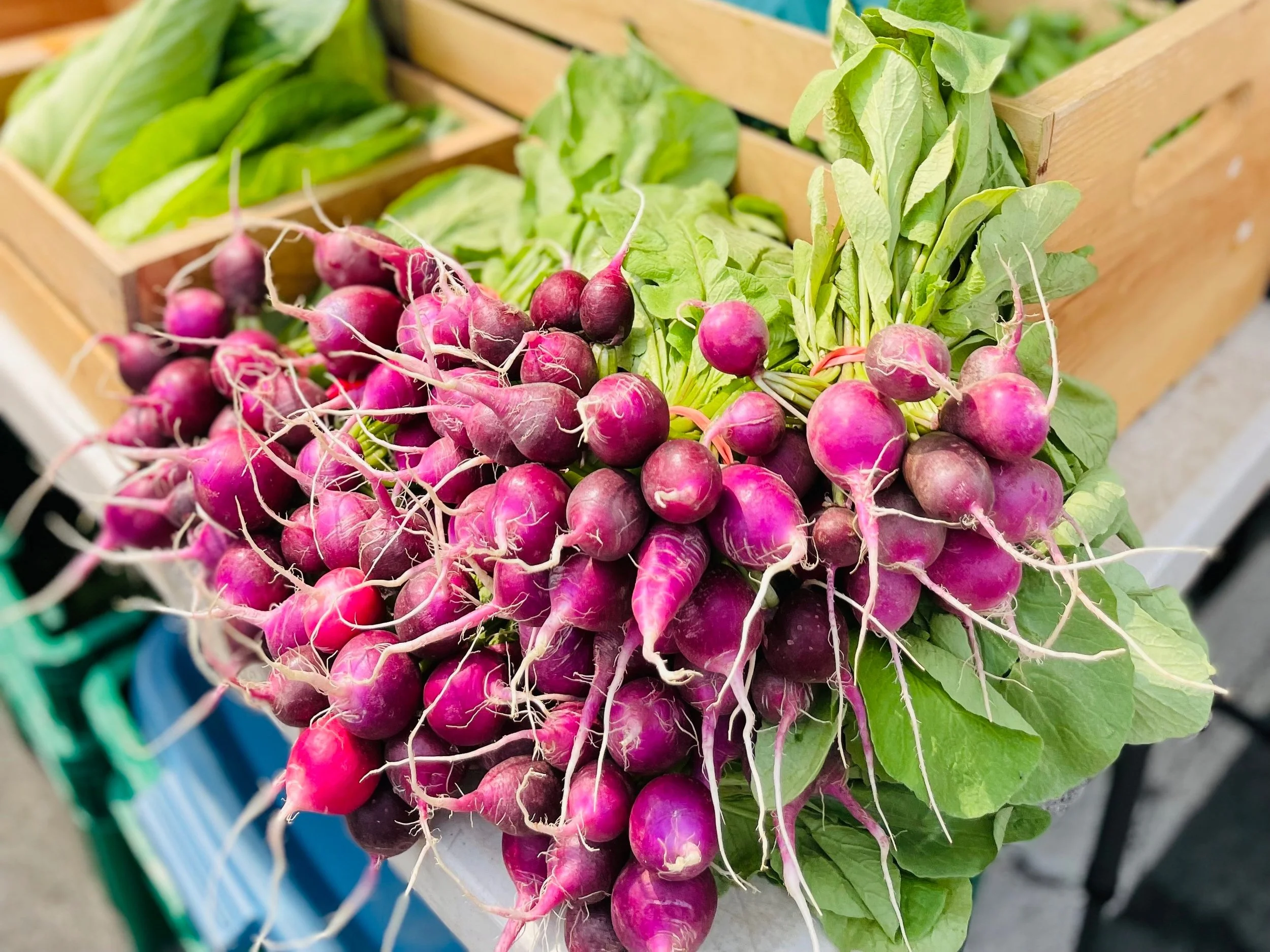 Apply to be a Vendor — Beacon Farmers Market