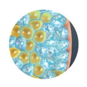General 1 — Riemer Dermatology