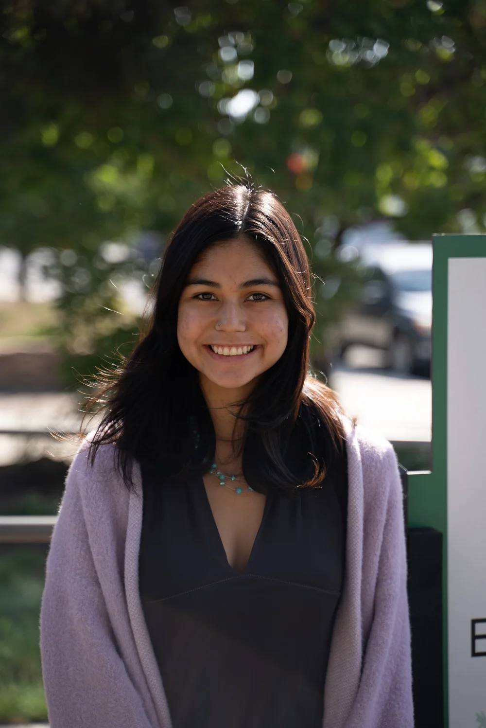 Meet Our Team — Two Spruce Law