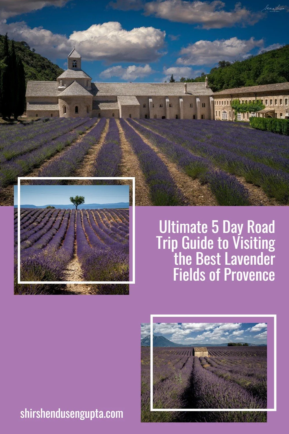 Ultimate 5 Day Road Trip Guide to Visiting the Best Lavender Fields of ...