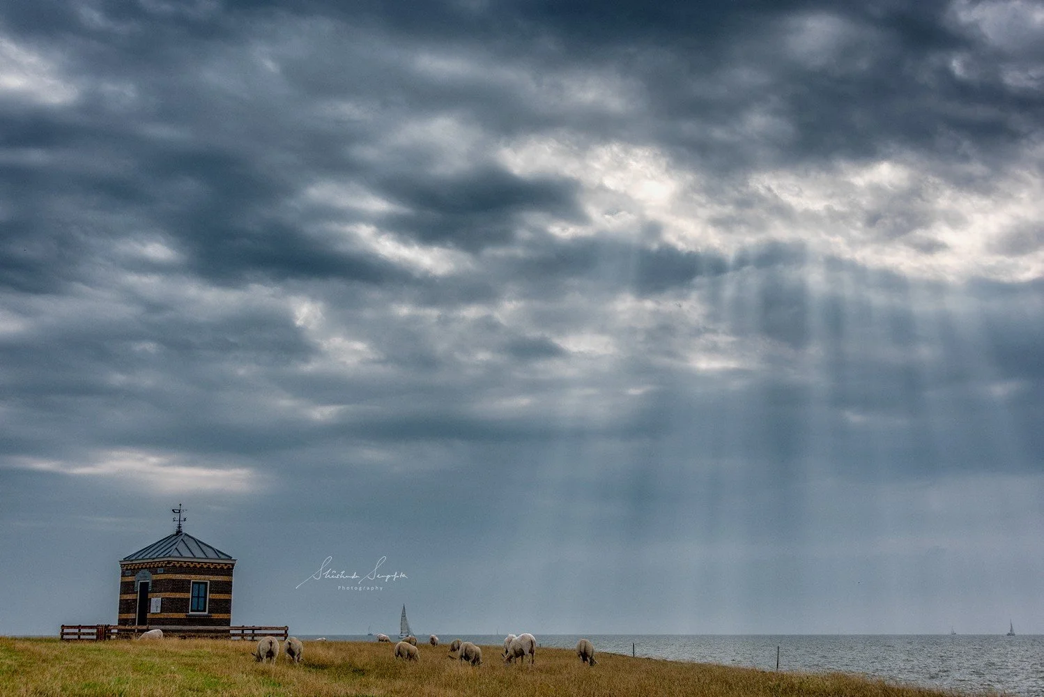 Discover Friesland | 9 Best Places to Visit in Friesland, the ...
