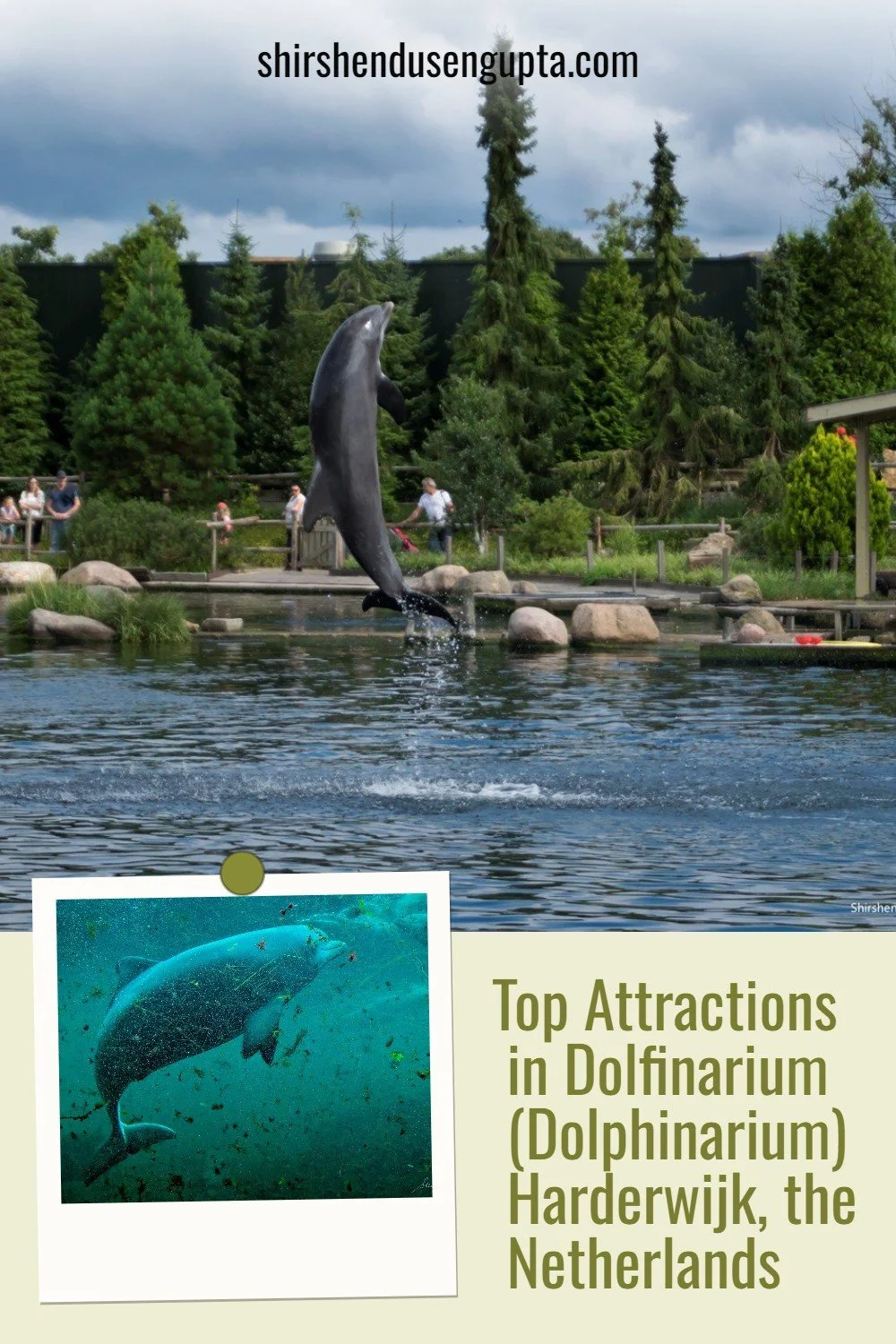 Top 10 Attractions in Dolfinarium (Dolphinarium) Harderwijk, the Netherlands | Largest Marine ...