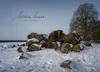 11 Best Places for Snow Photography in the Netherlands | Top 11 Winter ...