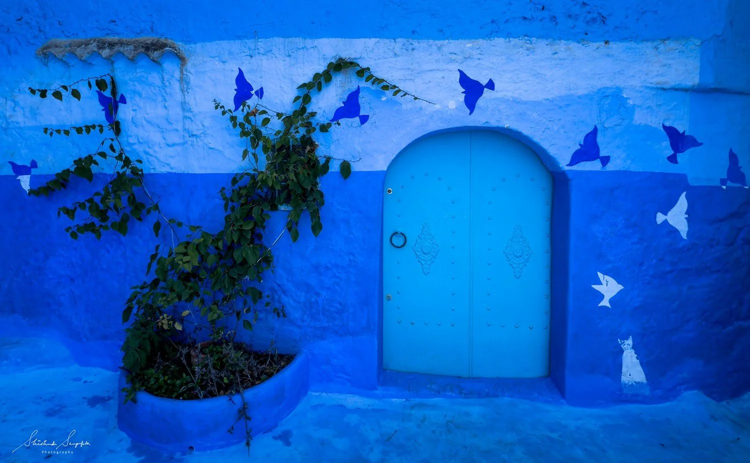 Ultimate Photographer’s Guide to Chefchaouen, the Blue City of Morocco ...