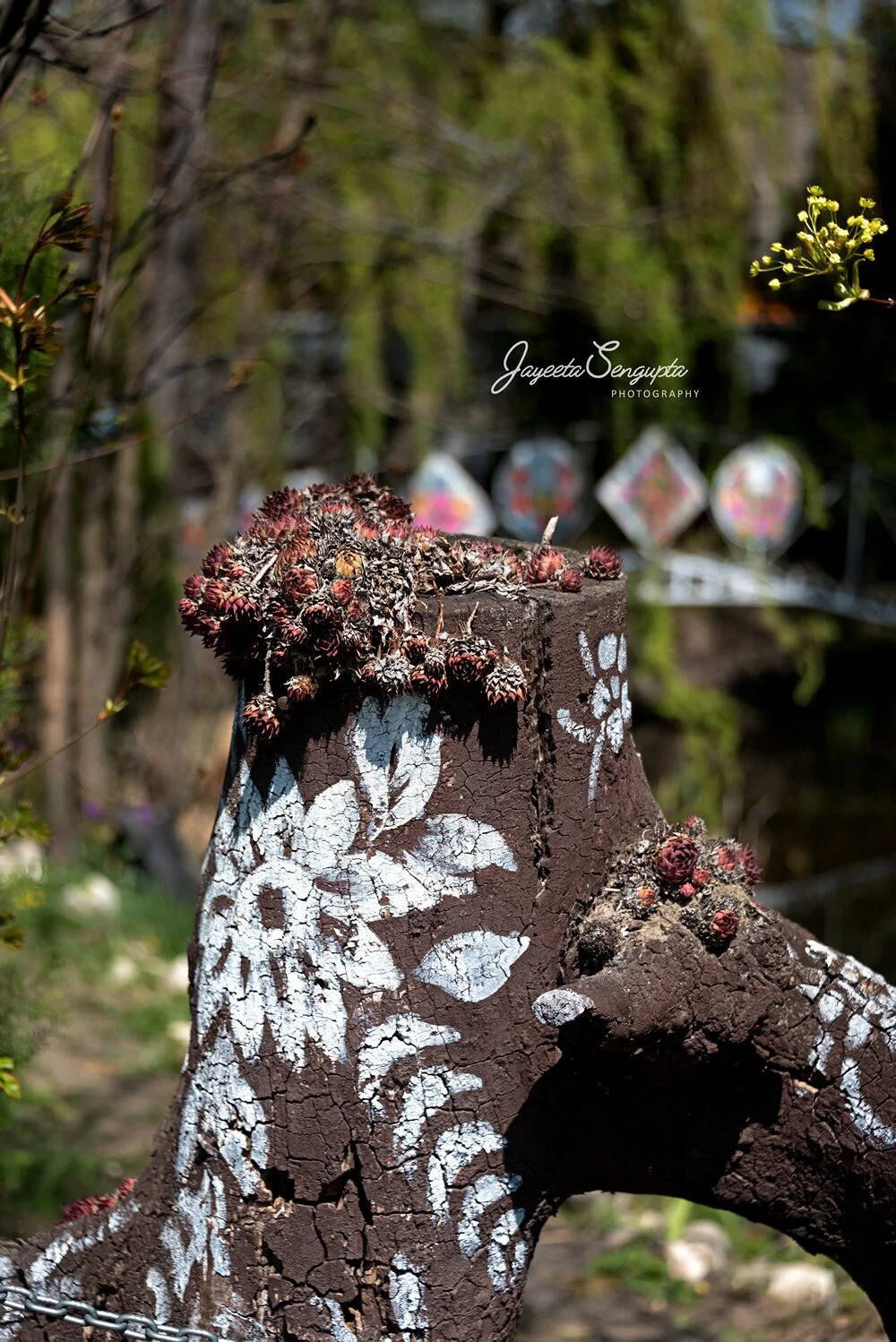 The Best of Podhale | Main Attractions of the Polish Highlands, Poland ...