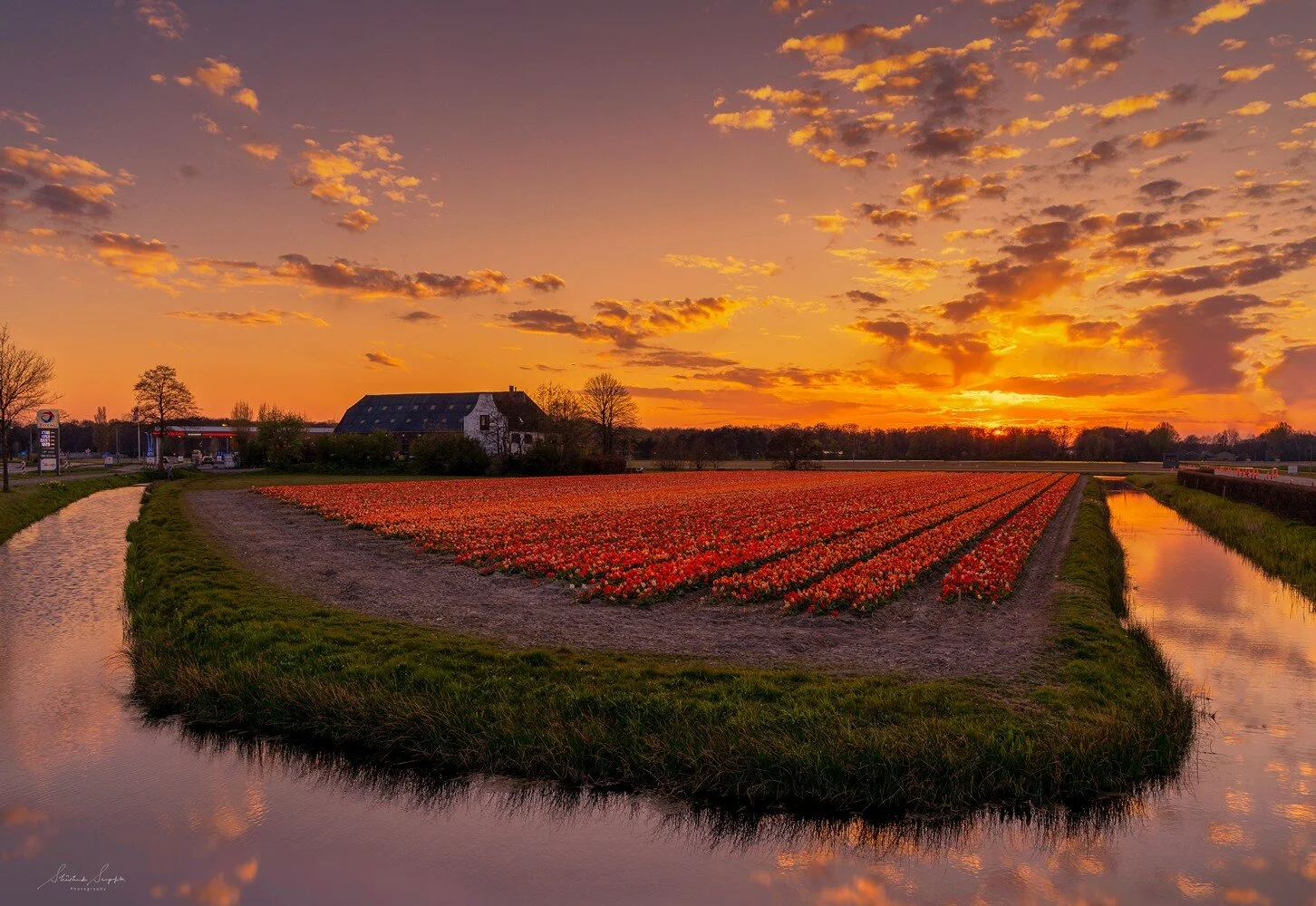 De Mooiste Bloemenroutes van Nederland | 4 Best Road Trip Flower Routes ...