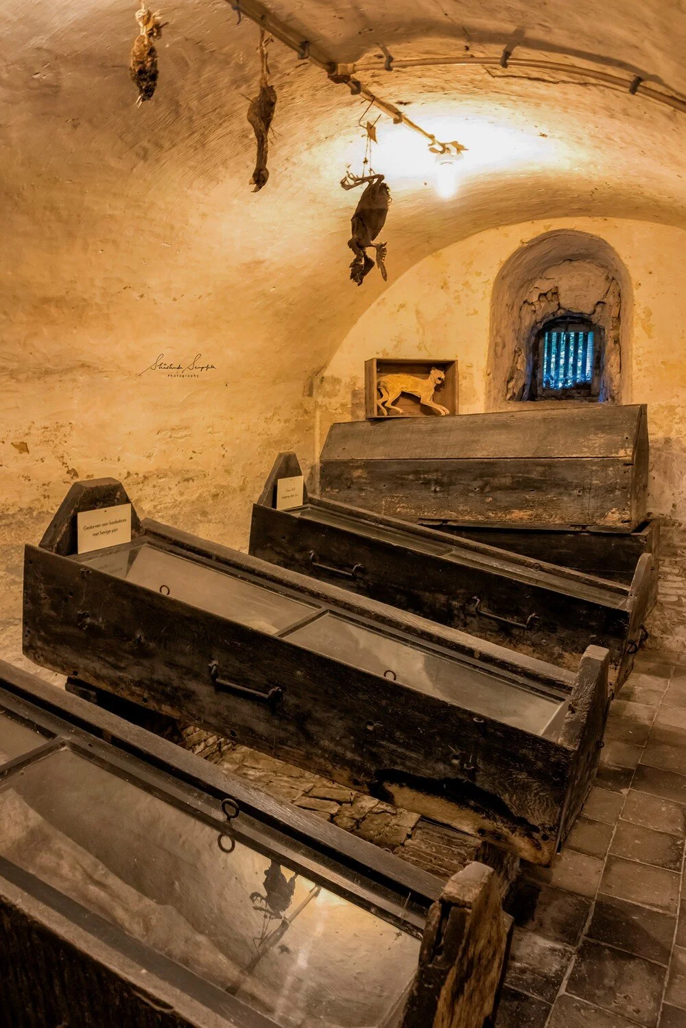 The Mummies of Wiuwert | The Mystery of the Mummiekelder (Mummy Cellar ...