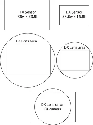 Step-By-Step Beginner’s Guide for Buying Camera Lens | How to Choose ...