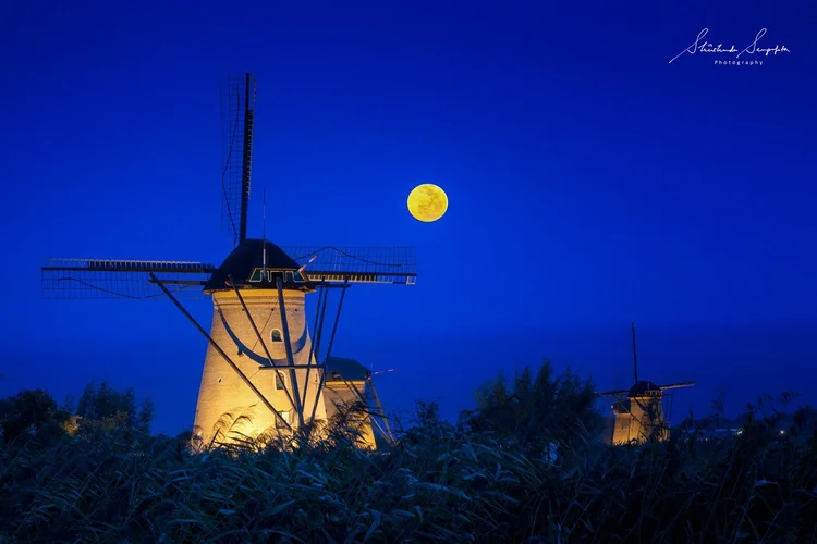 12 Best Places to See the Most Iconic Windmills in the Netherlands | 12 ...