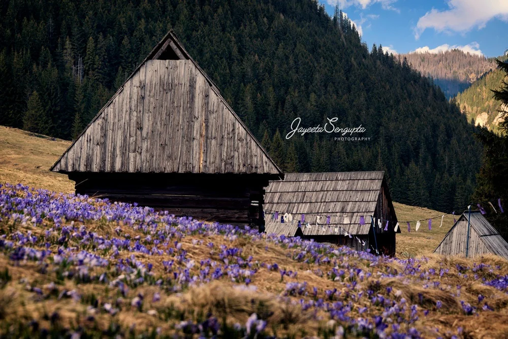 An Easter in Eastern Europe | A 6000 km Road Trip across Poland ...