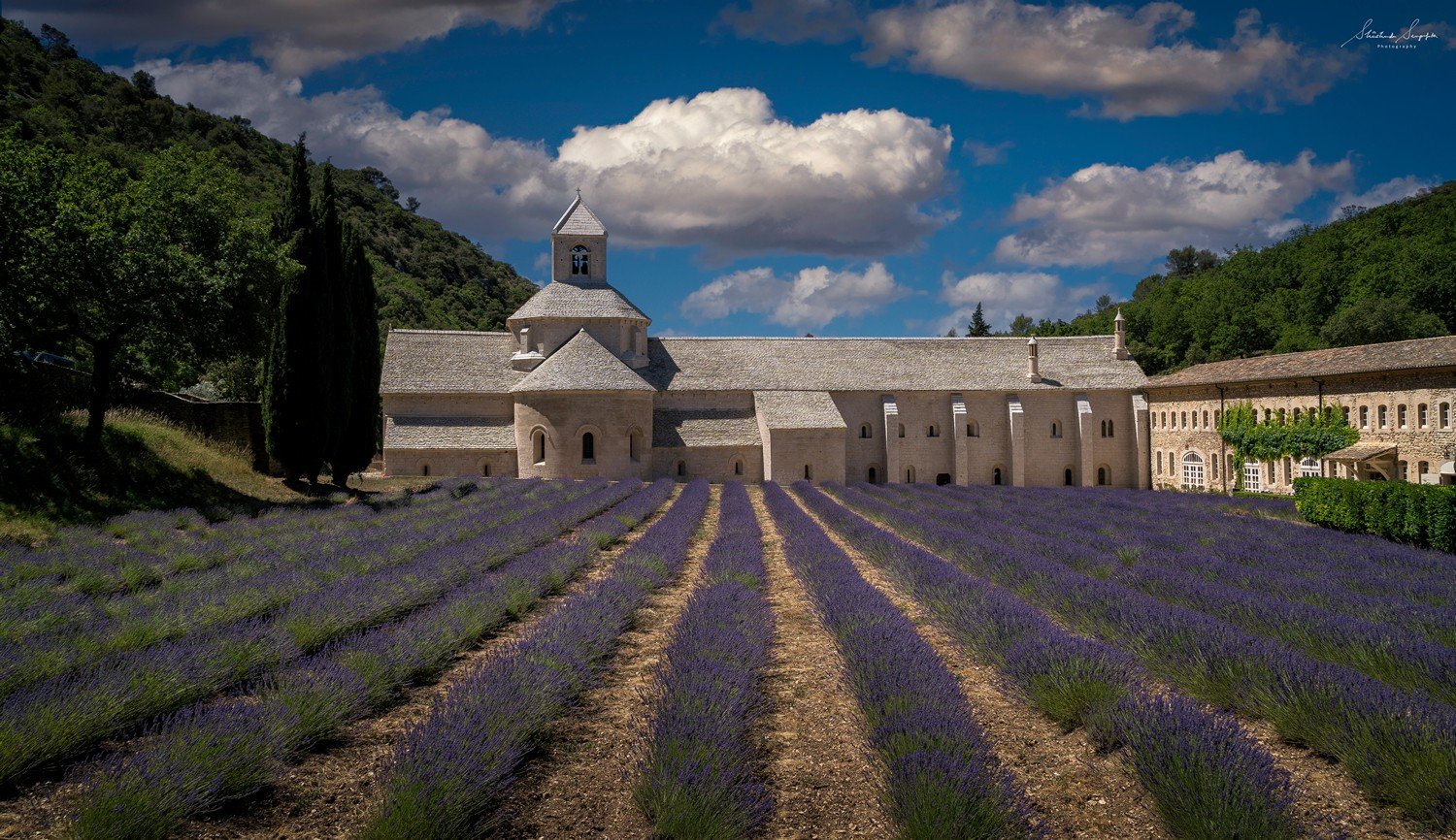 Ultimate 5 Day Road Trip Guide to Visiting the Best Lavender Fields of ...