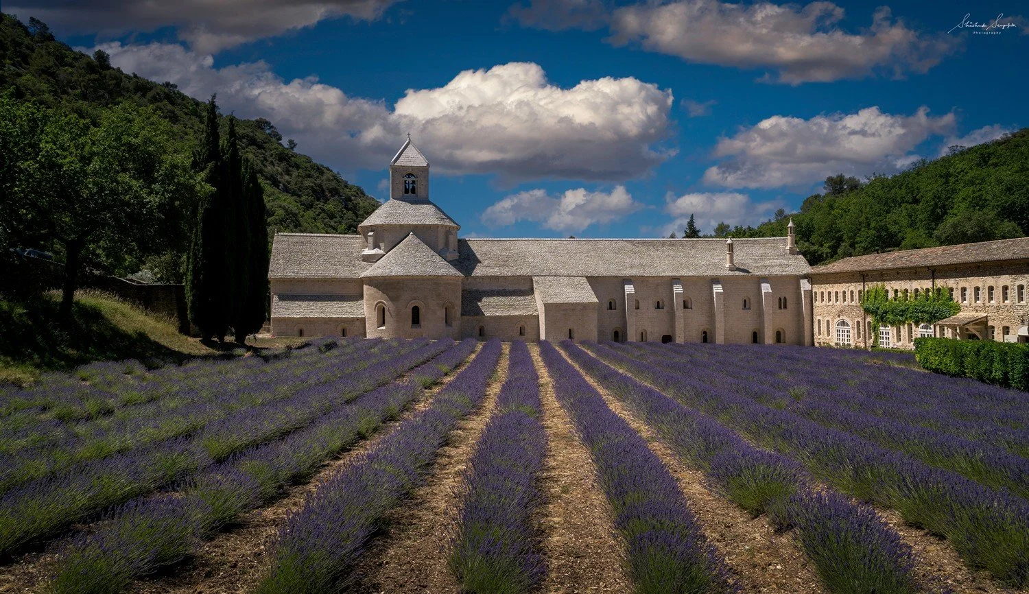 Ultimate 5 Day Road Trip Guide to Visiting the Best Lavender Fields of ...