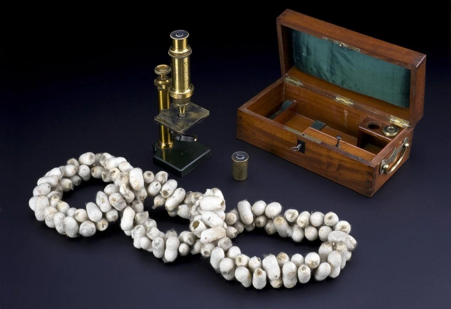 Louis Pasteur and the History of Rabies Vaccination Development ...