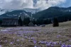 The Best of Podhale | Main Attractions of the Polish Highlands, Poland ...