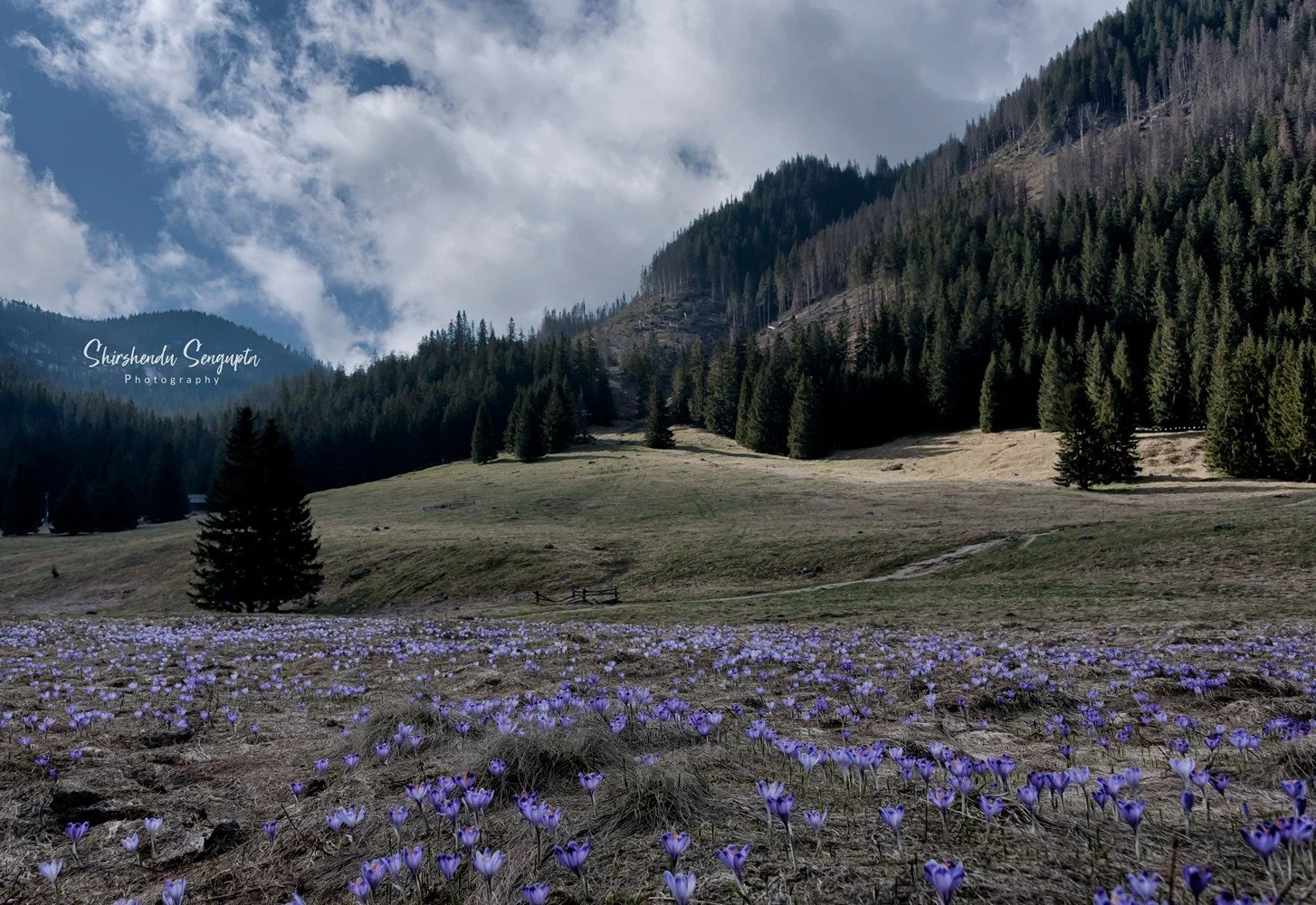 The Best of Podhale | Main Attractions of the Polish Highlands, Poland ...