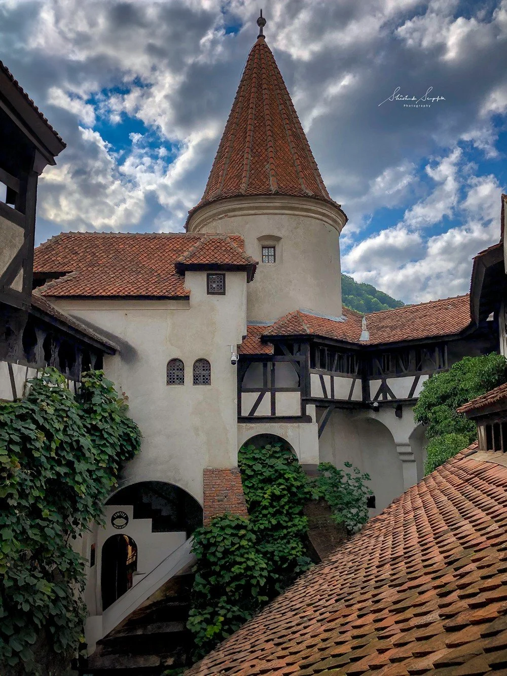 Complete Guide to Visiting Bran Castle (Dracula's Castle) in ...