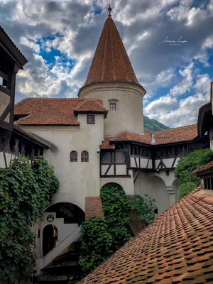 Complete Guide to Visiting Bran Castle (Dracula's Castle) in ...