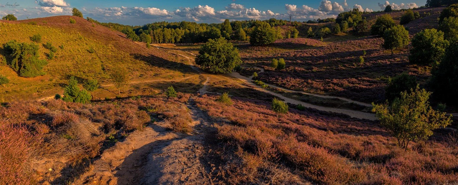 10 Most Beautiful Sand Dunes in the Netherlands | 10 Best Dutch Dunes ...