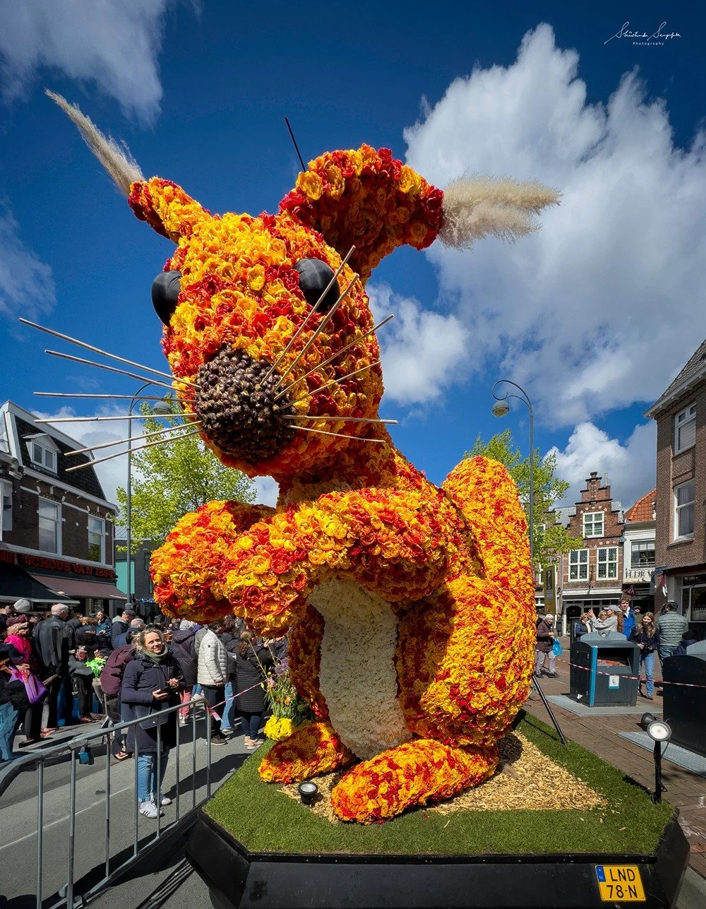 Bloemencorso Bollenstreek Holland 2026 | Flower Parade of the Bulb ...