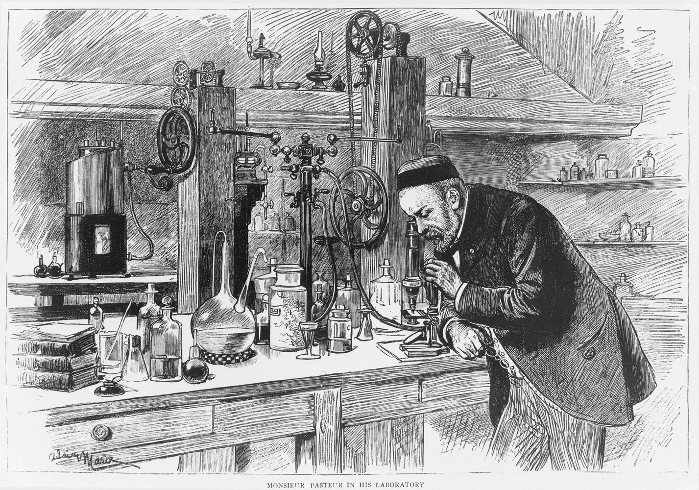 Louis Pasteur and the History of Rabies Vaccination Development ...