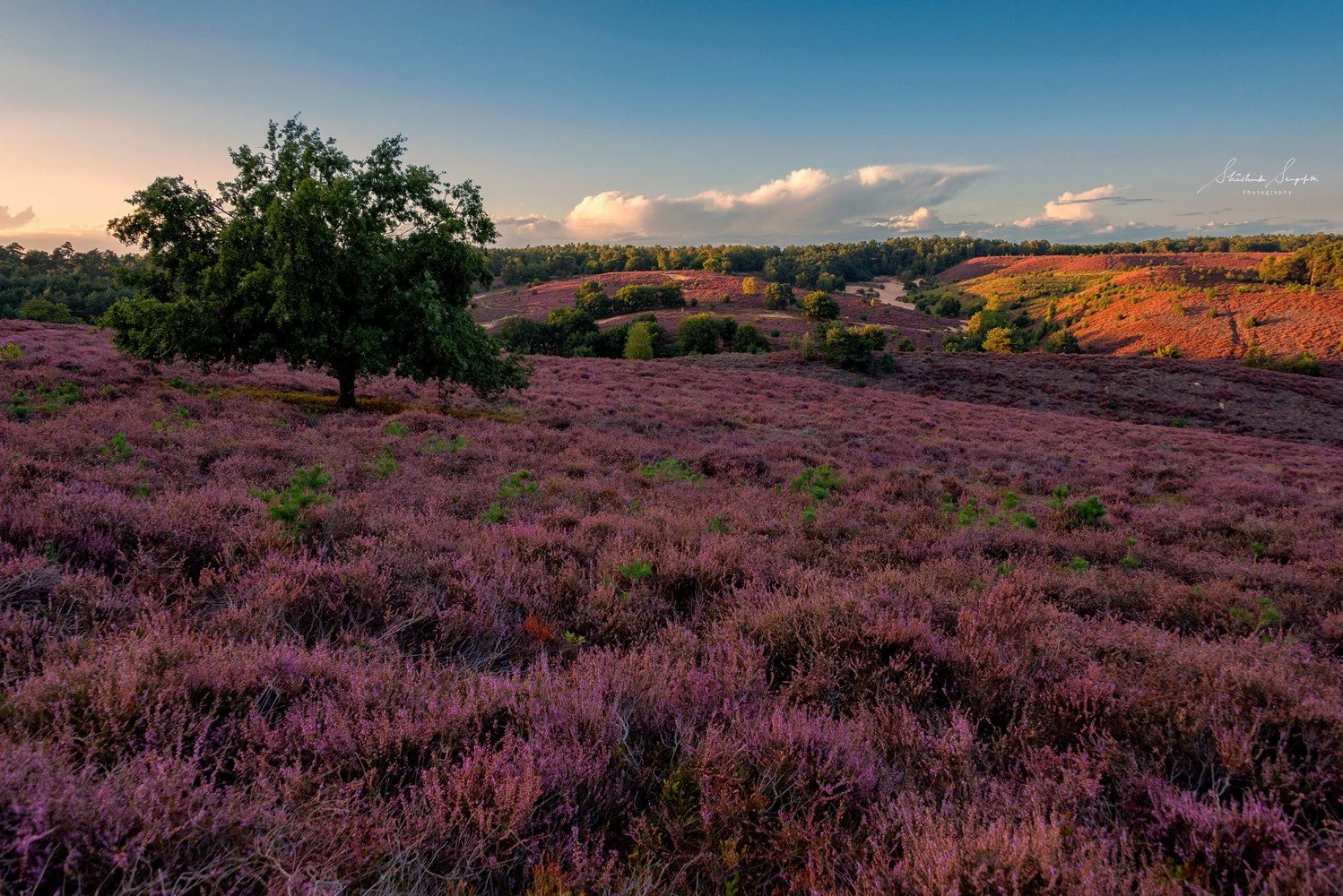 10 Most Beautiful Sand Dunes in the Netherlands | 10 Best Dutch Dunes ...
