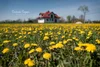 The Best of Podhale | Main Attractions of the Polish Highlands, Poland ...