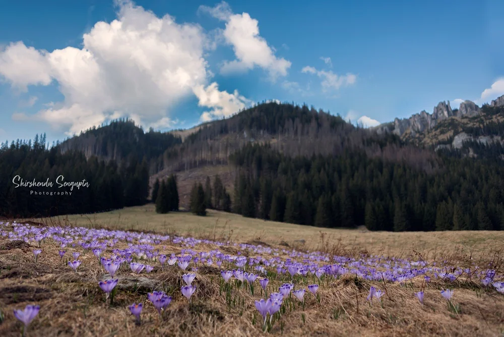 An Easter in Eastern Europe | A 6000 km Road Trip across Poland ...