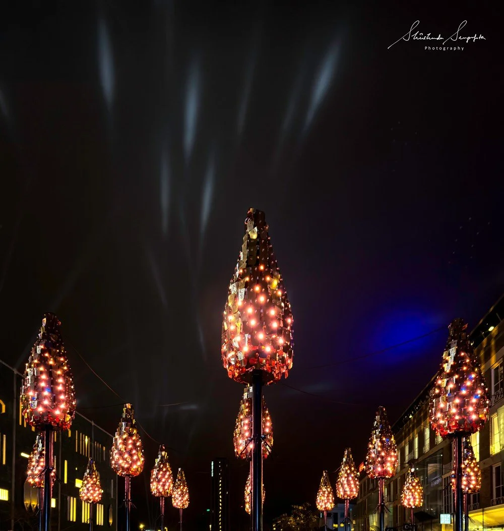 GLOW Eindhoven Light Art Festival 2025 | All You Need to Know Before ...