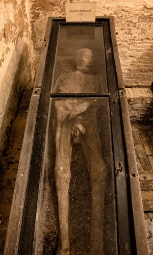 The Mummies of Wiuwert | The Mystery of the Mummiekelder (Mummy Cellar ...