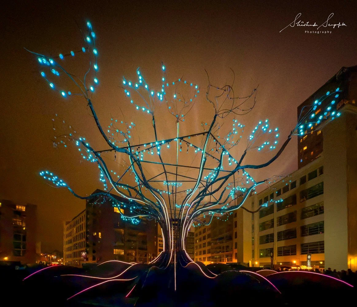 GLOW Eindhoven Light Art Festival 2025 | All You Need to Know Before ...