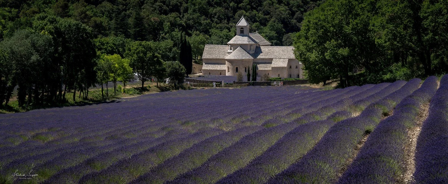Ultimate 5 Day Road Trip Guide to Visiting the Best Lavender Fields of ...