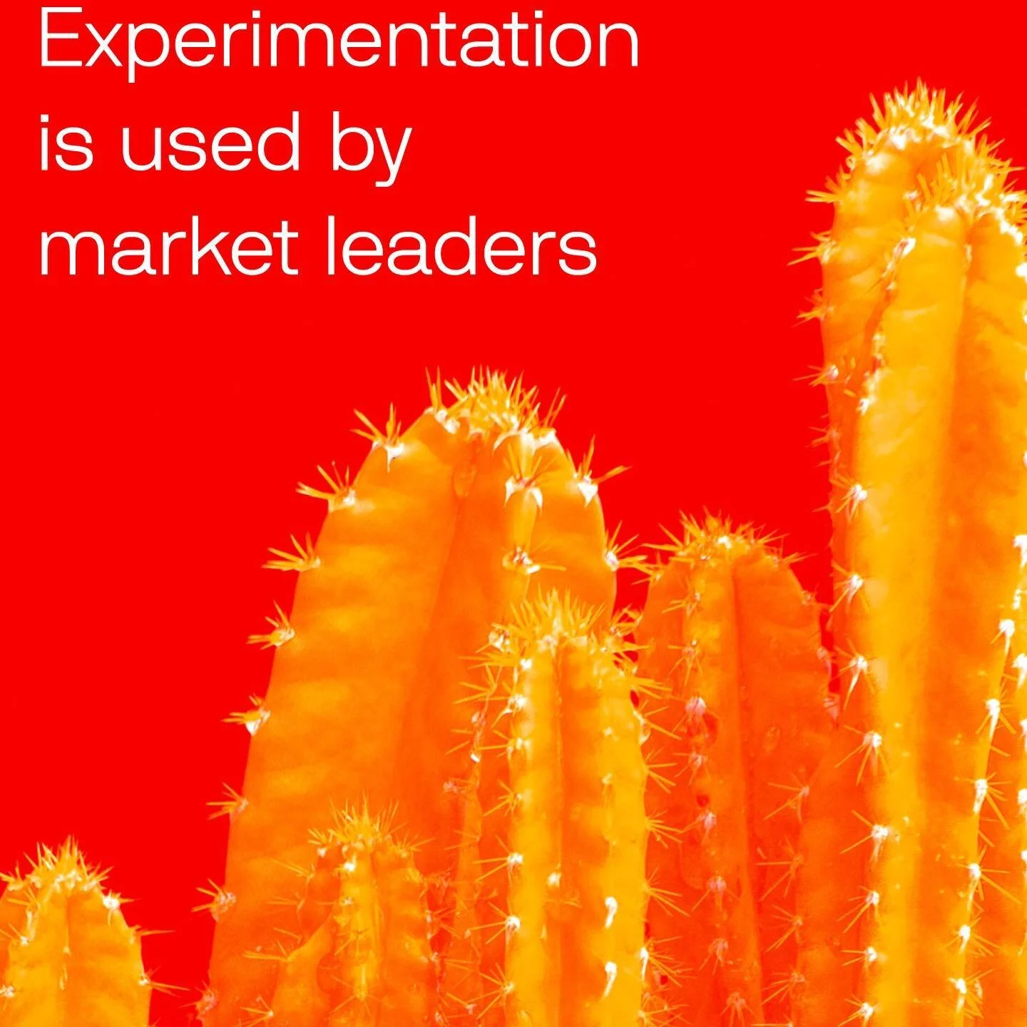 First Principles - Expert Consultants In Experimentation