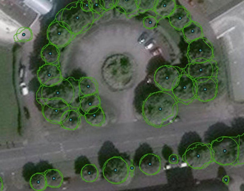 Tree Mapping & GIS — Tree Space | Tree Surveys | Tree Planning ...