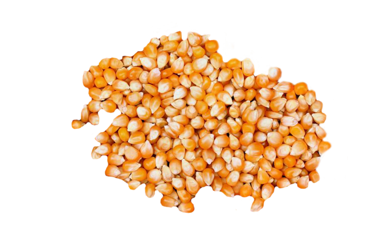 Merlog Foods — Hammarsdale Cato Ridge Development Association