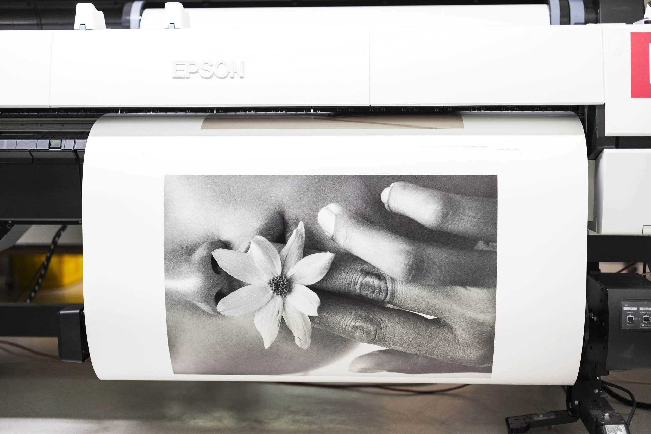 printing | Enhance Your Artwork Today — Frameline Gallery
