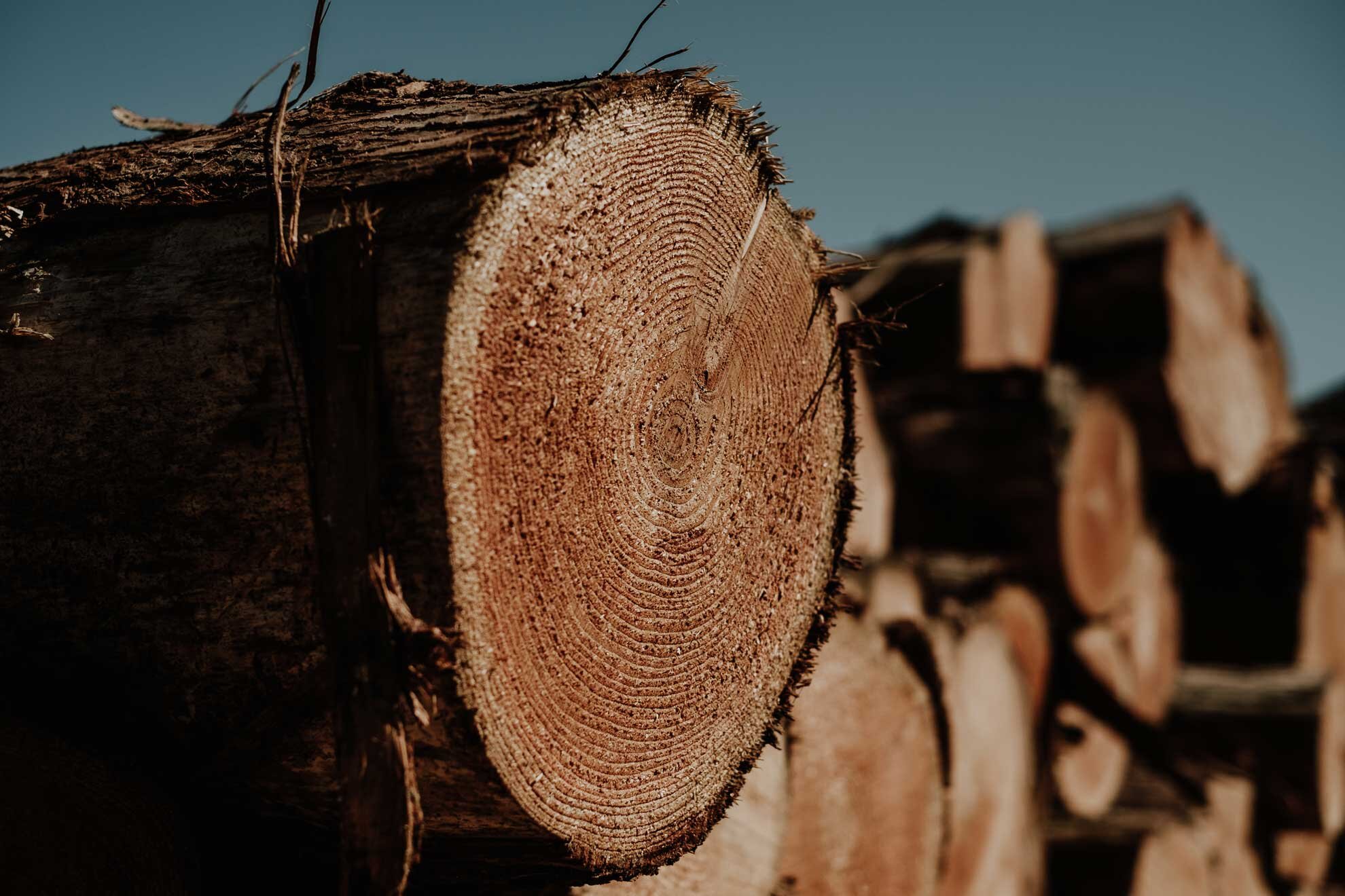 The Isle of Wight's largest timbermill processing company — Chessell ...