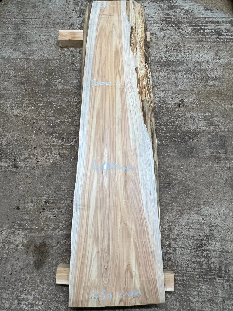 Sequoia Slabs — Chessell Woodyard