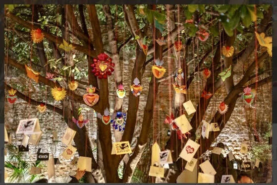 Set Up a Wishing Tree — Global Day of Unplugging