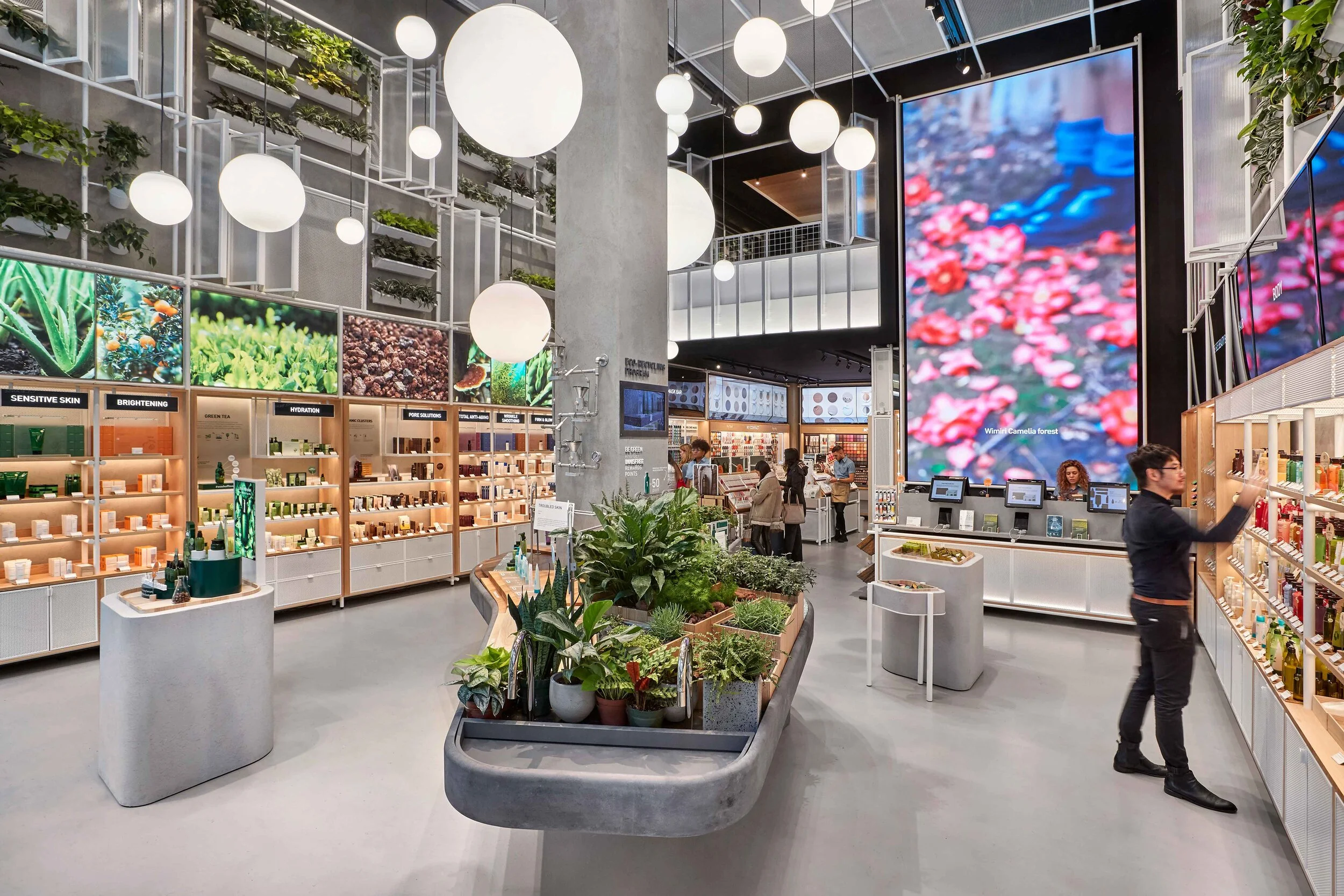 Innisfree Case Study — MG Concepts