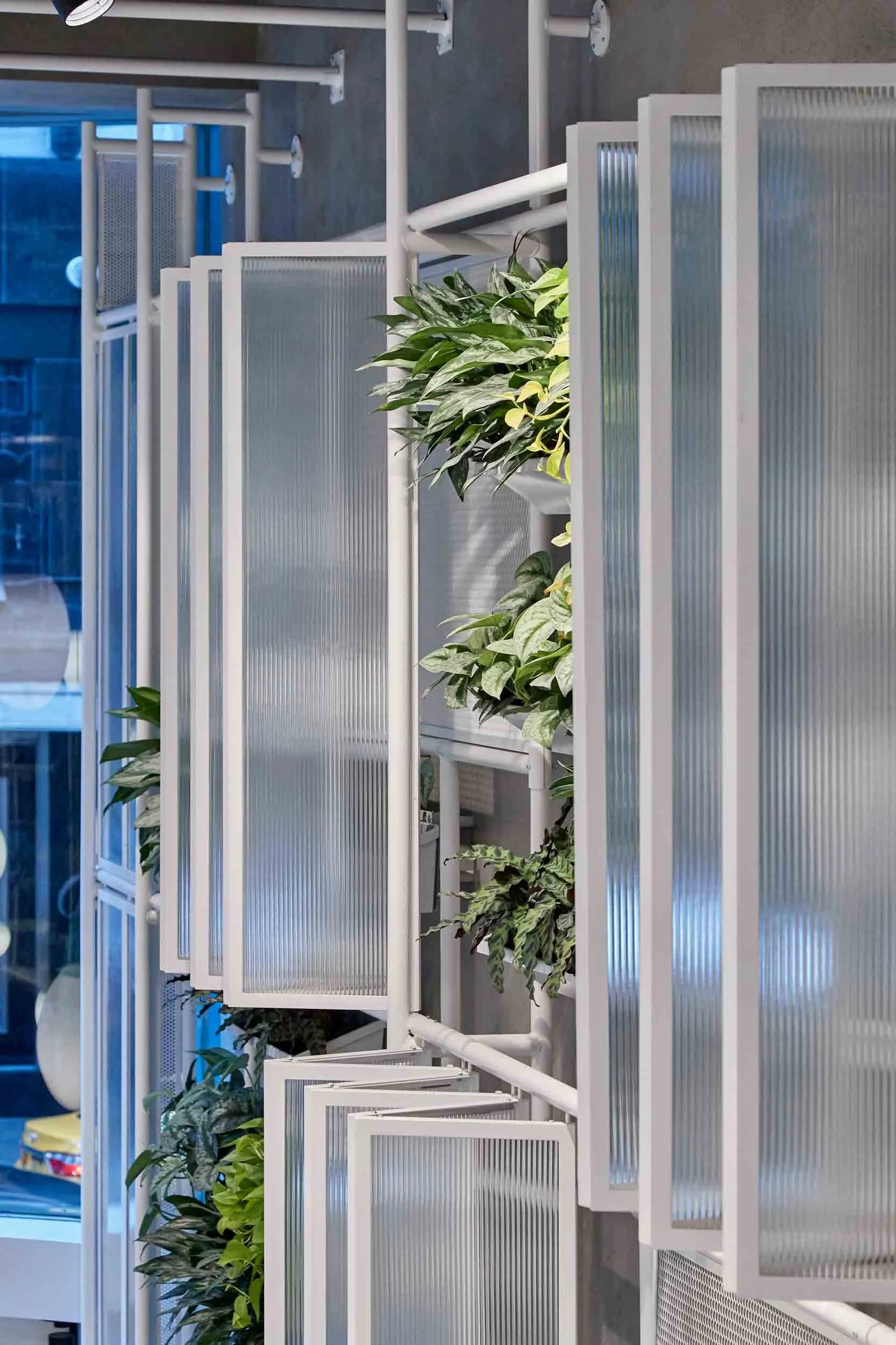 Innisfree Case Study — MG Concepts