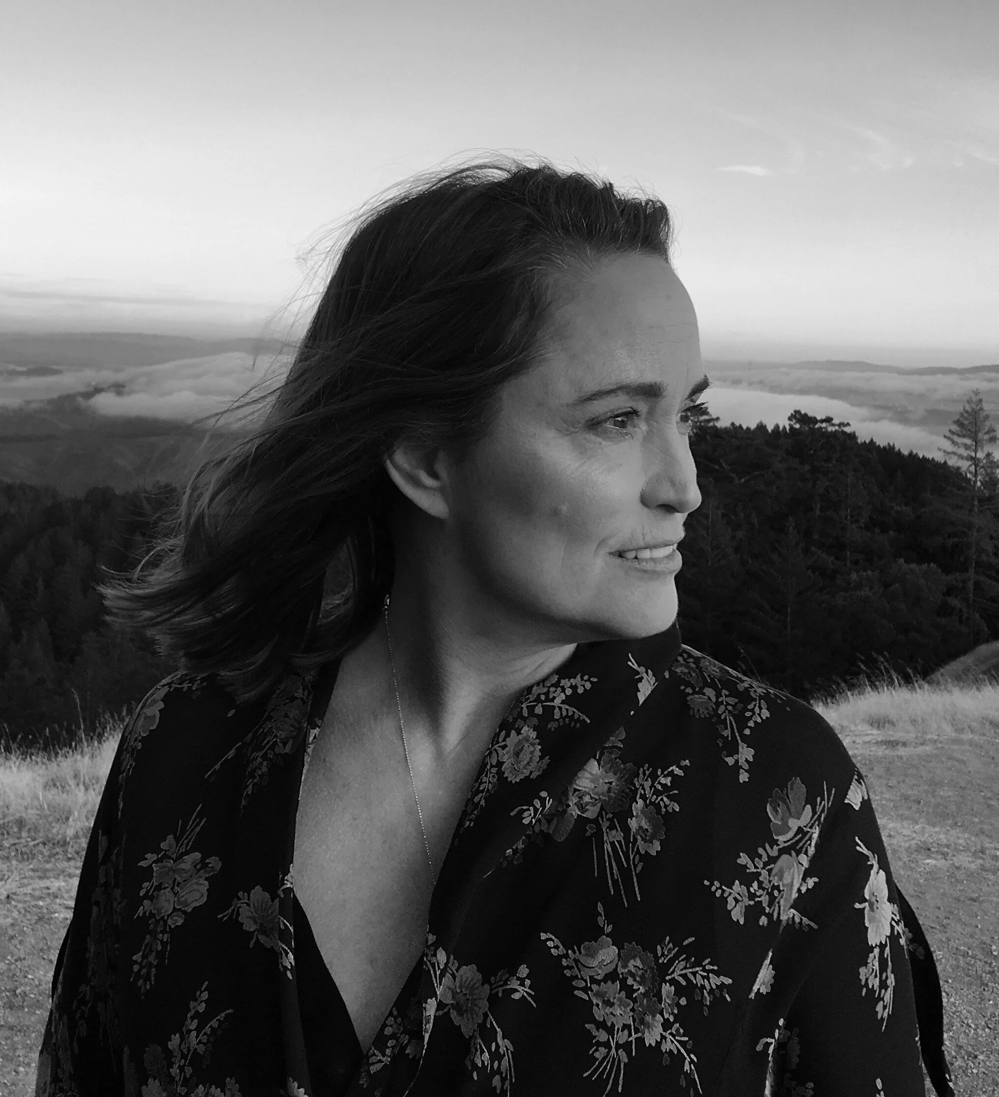 Bio/Contact — Jill Dodd