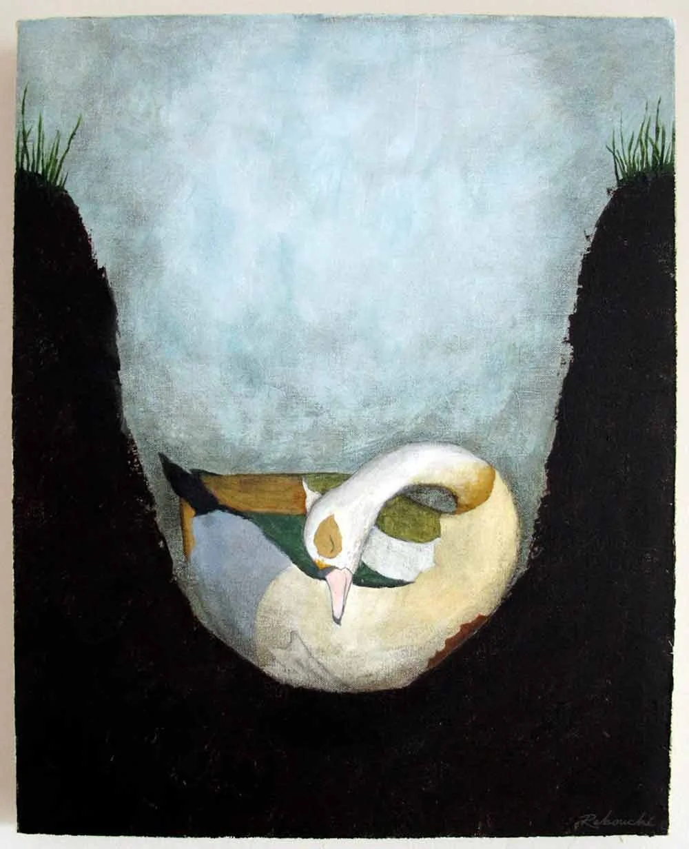 Discover — Rebecca Rebouché